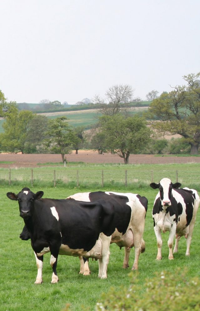 Why potash is important - Potash Development Association (PDA)