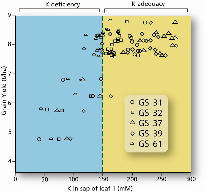 Identifying potash deficiency - Potash Development Association (PDA)