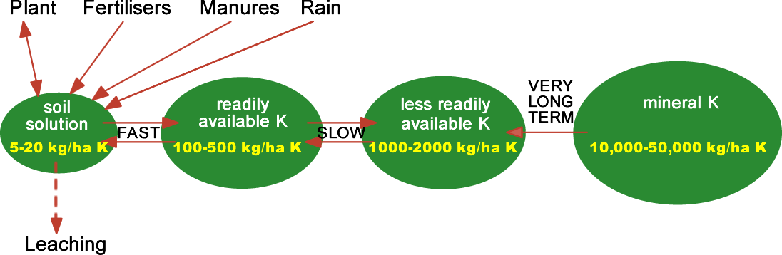 Identifying potash deficiency - Potash Development Association (PDA)