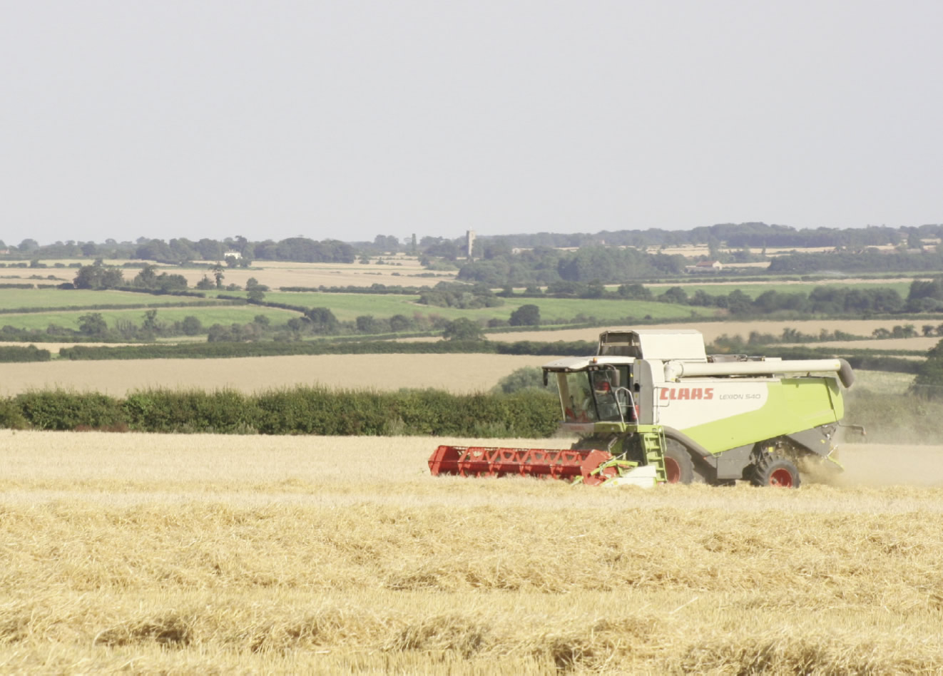 Identifying potash deficiency - Potash Development Association (PDA)